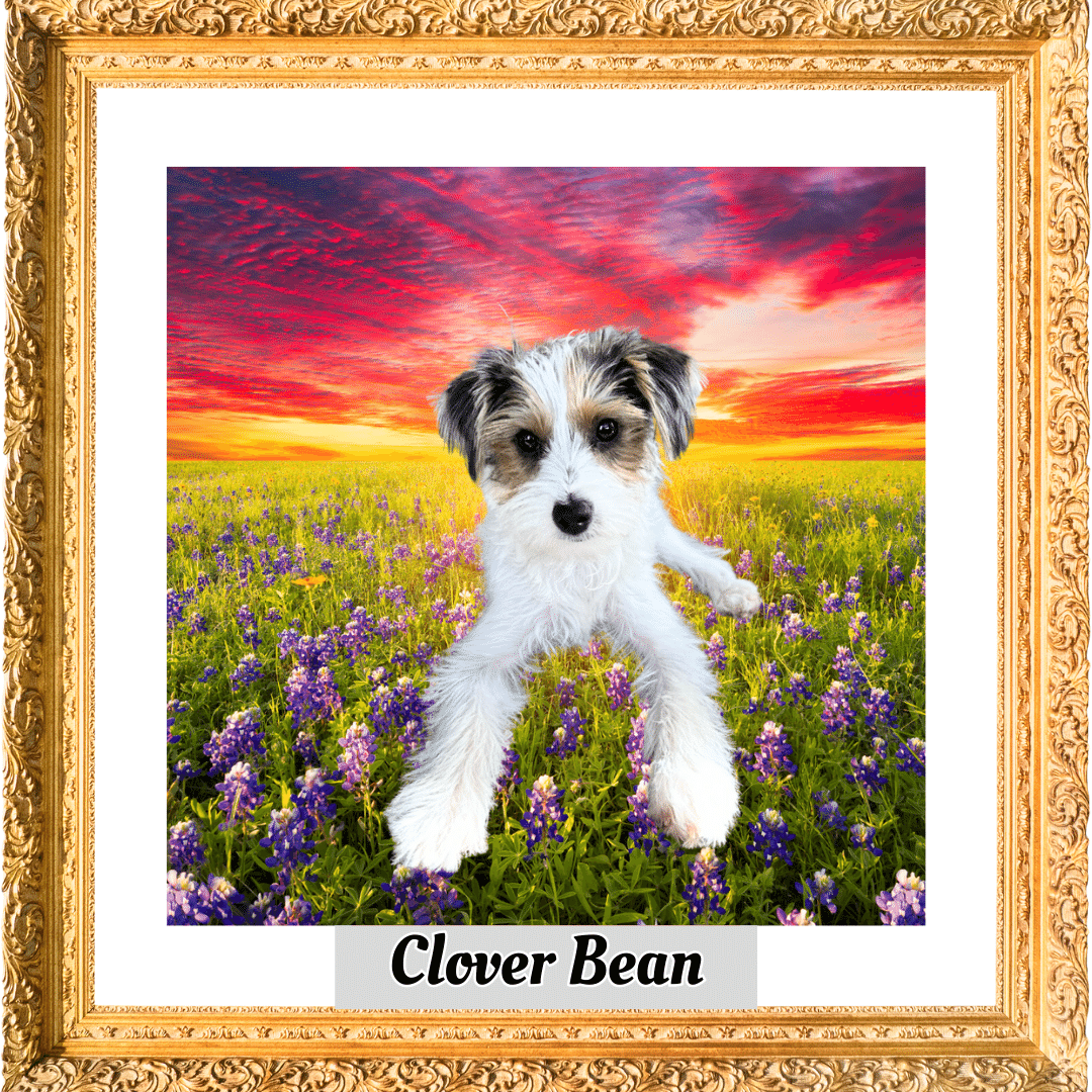 Teacher Cries in Class from Lack of Support - Teacher Misery